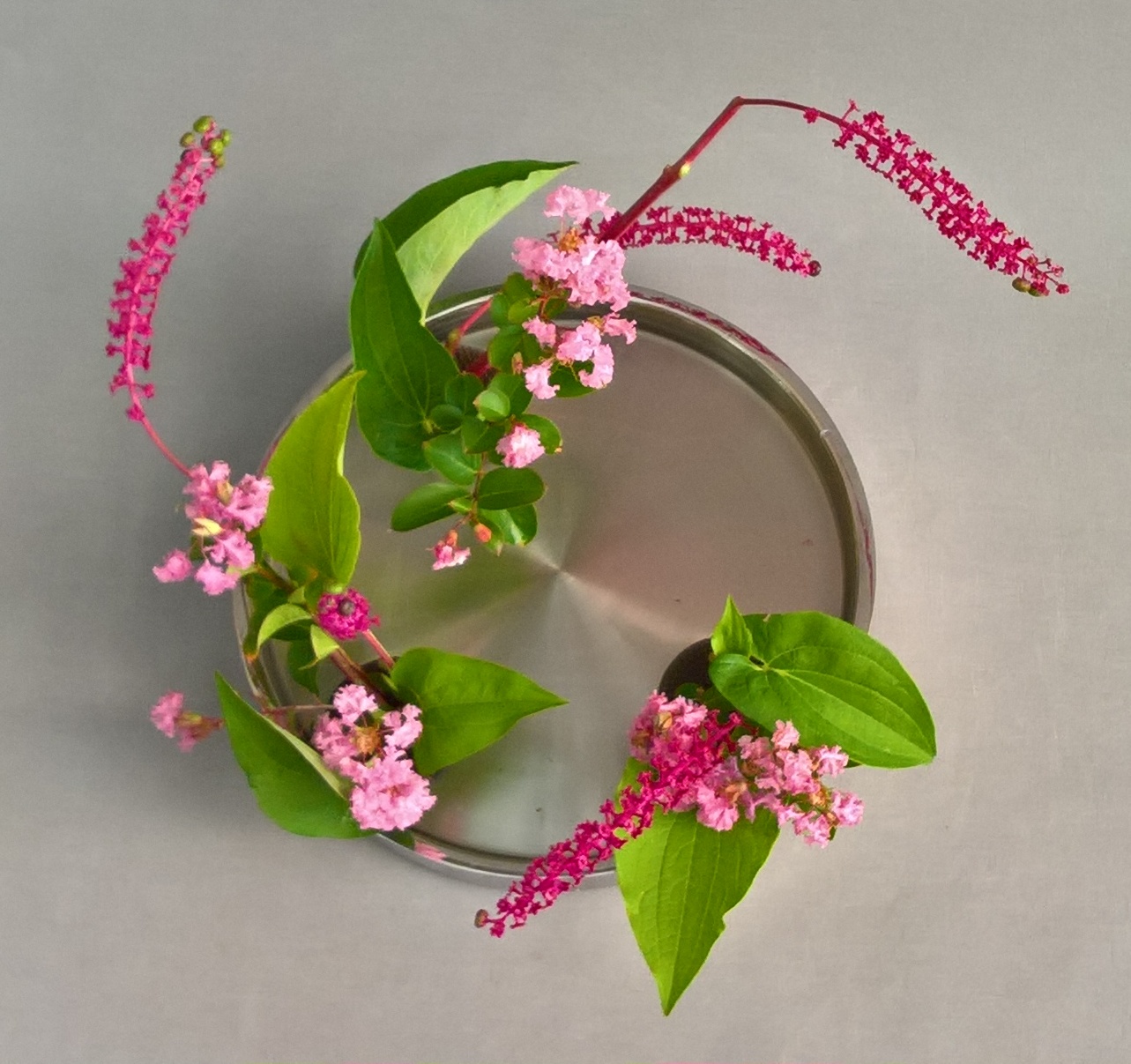 Galerie | Ecole Ohara Lyon