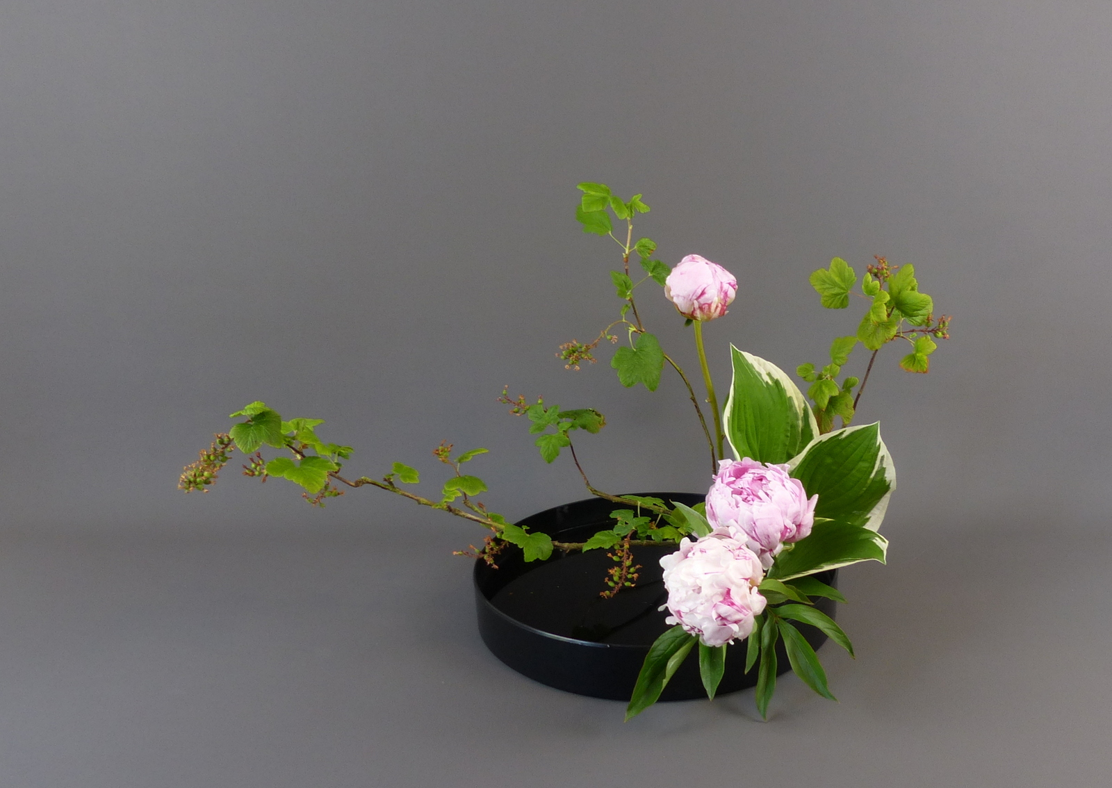 Galerie | Ecole Ohara Lyon